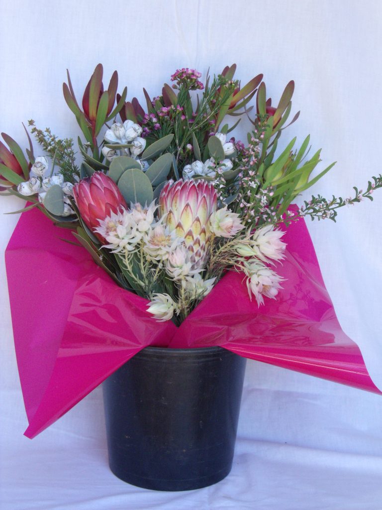 Bunches, Posies & Boxes - Warrumbungle Flower Farm