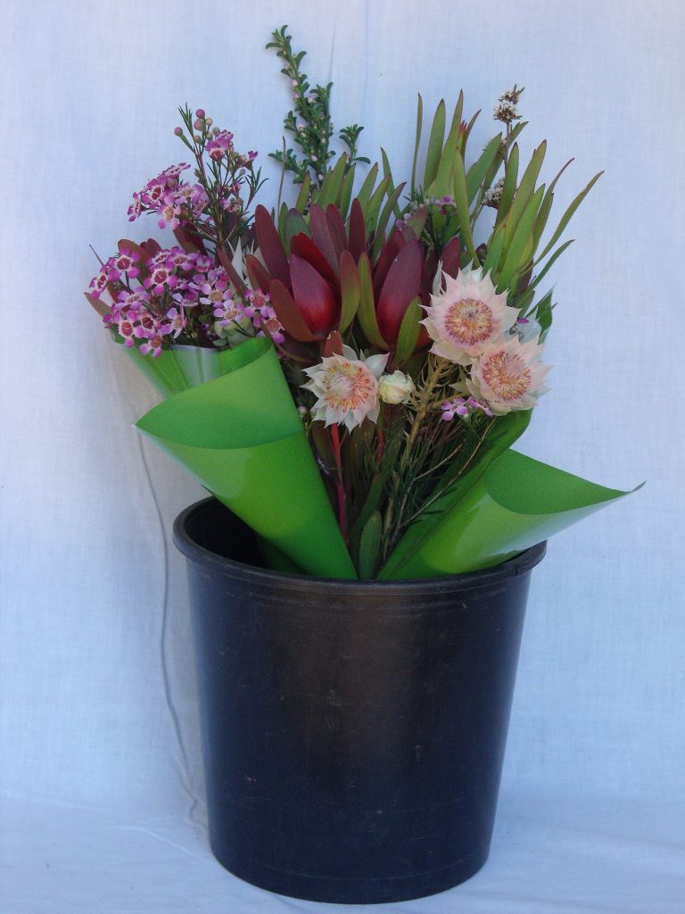 Bunches, Posies & Boxes - Warrumbungle Flower Farm